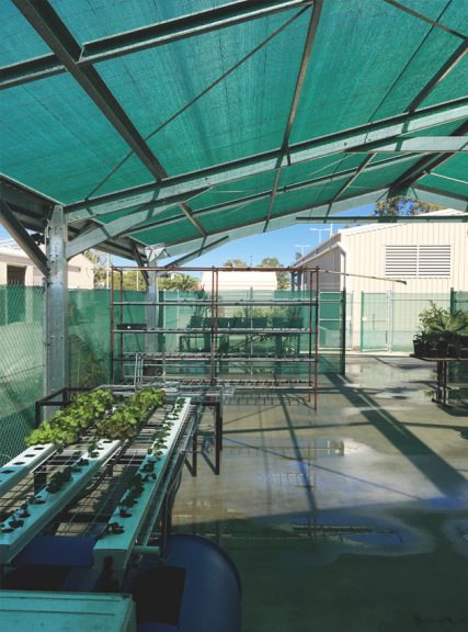 Caboolture State High School, CCIC and agriculture facilities - Deicke ...